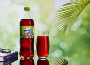 The Fizzy Rise Of Bindu Jeera Soda: A Tale Of Sathya Shankar's ...