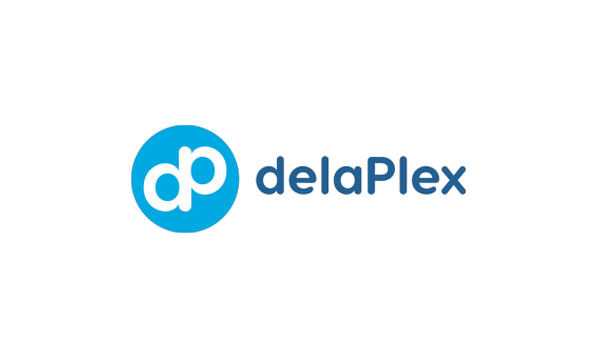 Delaplex IPO Opens On 25 Jan: Know All About It Here