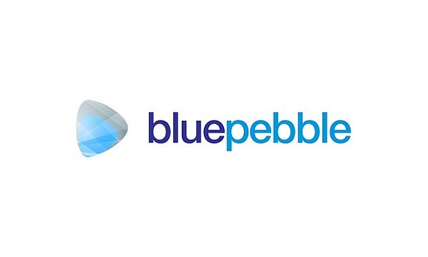 Blue Pebble IPO Opens On 26 Mar: Know All About It Here