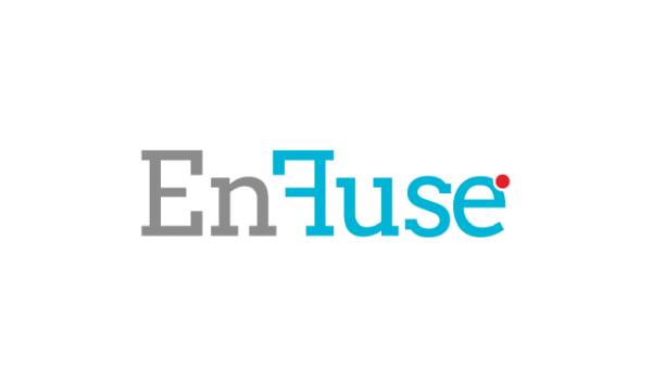 Enfuse Solutions IPO Opens On 15 Mar: Know All About It Here