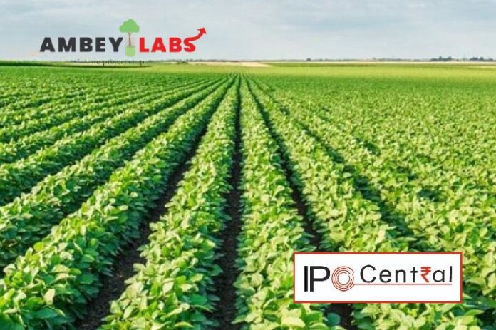 Ambey Laboratories IPO Opens On 4 Jul: Know All About It Here