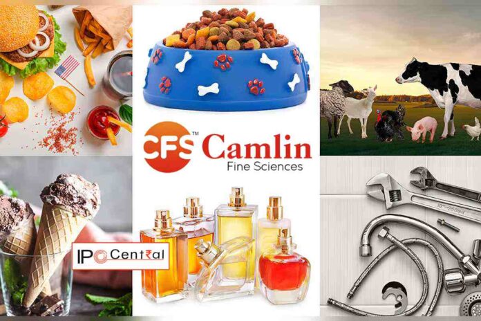 Camlin Fine Sciences Rights Issue Date, Price, Market Lot, Subscription 2024