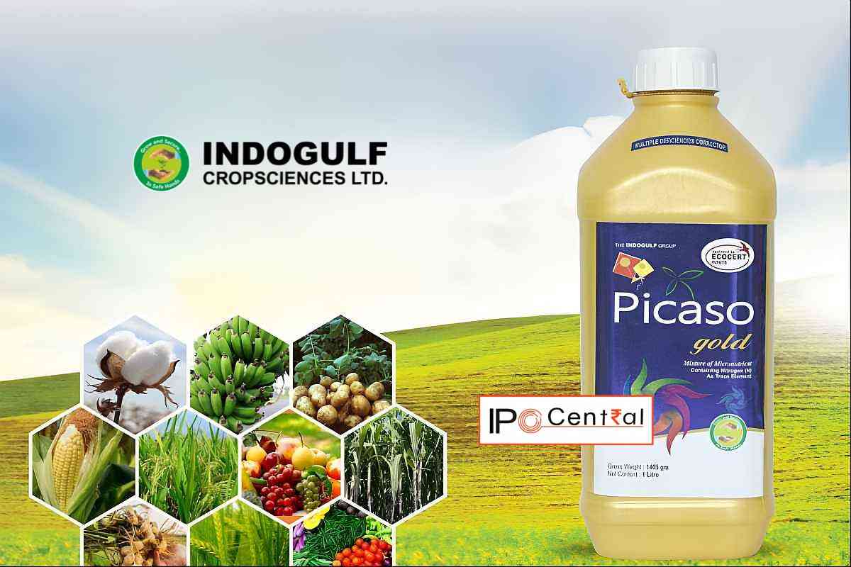 Indogulf Cropsciences IPO GMP, Price, Allotment, Profit Estimate 2025 - IPO Central