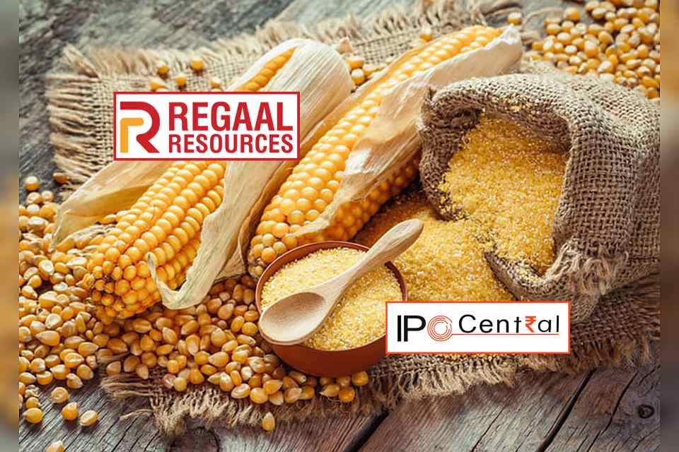 Regaal Resources IPO GMP, Price, Allotment, Profit Estimate 2025 - IPO Central